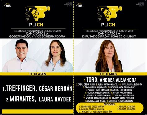 Vota Chubut Estas Son Las Boletas De Los Cinco Candidatos A La