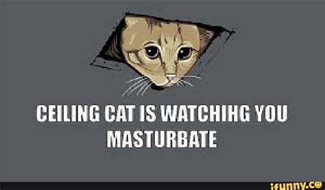 Ceiling Cat Is Watching You Meme Americanwarmoms Org