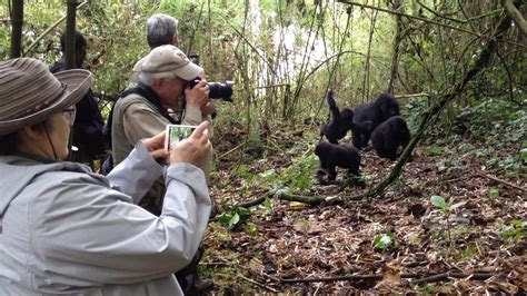 5 DAYS RWANDA ADVENTURE GORILLA TREKKING SAFARI Burigi Tours And Safaris