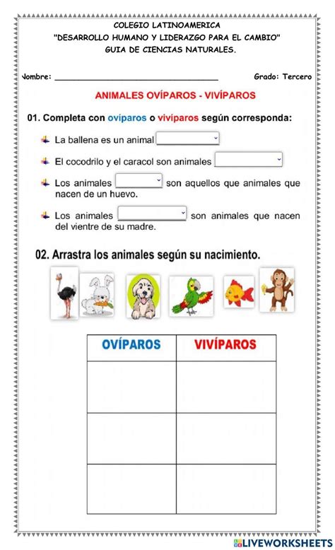 Actividad Online De Reproduccion Para 3 Online Activities Activities