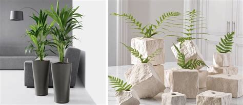 Macetas Para Plantas De Interior Macetas Decoradas