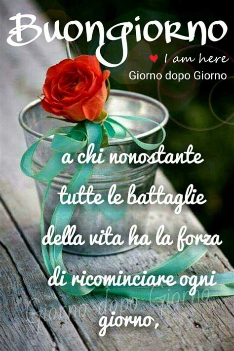 Pin Di Irene Locatelli Su Buongiorno Buona Giornata E Buon Pranzo