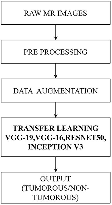 Frontiers Pre Trained Deep Learning Models For Brain Mri Image