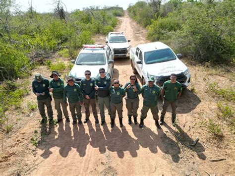 Semarh realiza operação Mata Atlântica em Pé no extremo Sul do Piauí