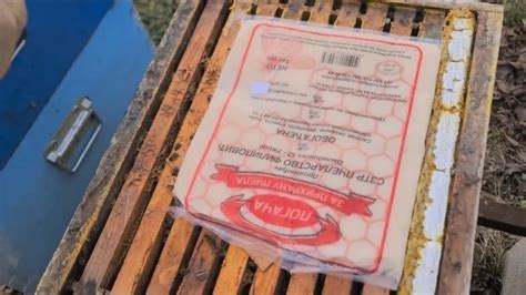 Pčelarstvo 2024 Dodavanje pogače kada treba YouTube