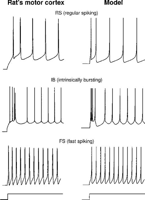 [pdf] simple model of spiking neurons semantic scholar