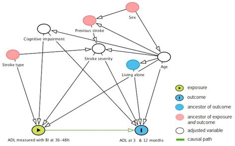 directed acyclic graph showing factors that might confound the download scientific diagram