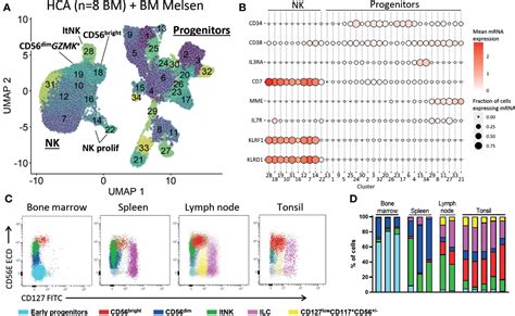 Frontiers Single Cell Transcriptomics In Bone Marrow Delineates