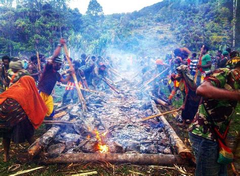Mengintip Tradisi Bakar Batu Cara Memasak Unik Di Papua Yang Sarat