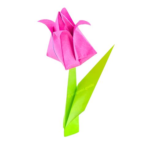 How To Make An Origami Tulip Flower Folding Instructions Origami Guide
