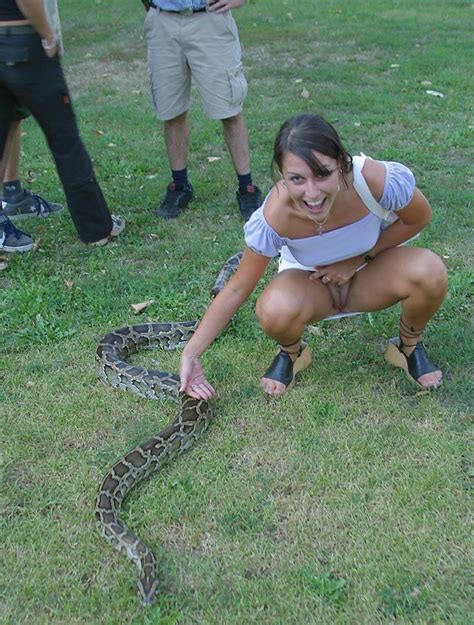 Snakes In Pussies Telegraph