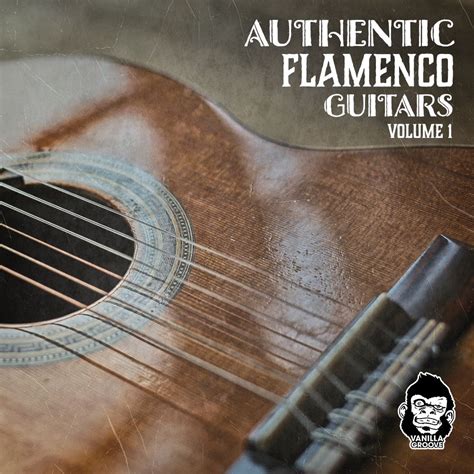 Authentic Flamenco Guitars Vol 1 Sample Pack LANDR Samples