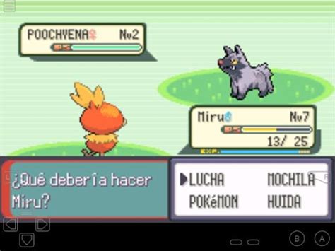 Pkm Esmeralda Duallocke Pok Mon En Espa Ol Amino