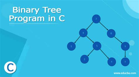 binary tree program in c types of binary tree with examples
