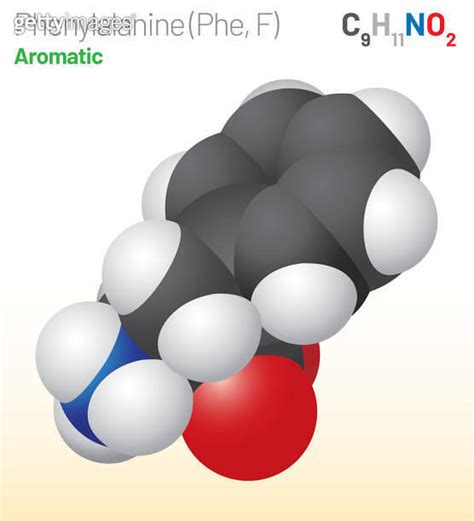 Phenylalanine Phe F Amino Acid Molecule Chemical Formula C9H11NO2