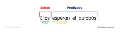 Oraciones Con Sujeto Verbo Y Predicado Qu Son Y Ejemplos