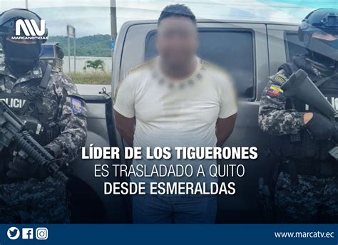 Alias Negro Willy L Der De Los Tiguerones Es Trasladado A Quito