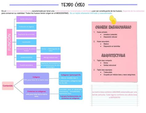 Tejido Seo Irene Ju Rez Mart Nez Udocz