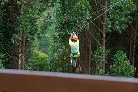 O que fazer em Monte Verde Minas Gerais 10 dicas imperdíveis
