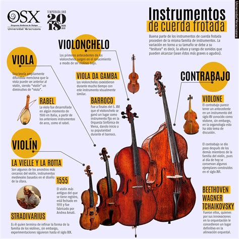 Fölény ív Százalék imagenes instrumentos de cuerda frotada egy csésze