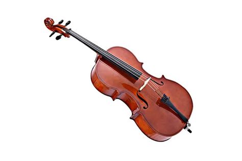 Instrumentos de Cuerda MÁS de 10 ejemplos de Instrumentos