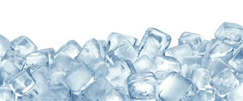 Aloe Vera Scopri le proprietà dei derivati VonderWeid