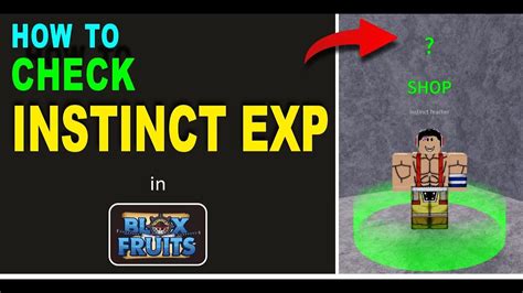 How To Check Instinct Mastery Exp In Blox Fruits How To Check