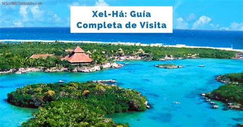 Cómo visitar Xel Há en un día Incluye Guía Completa del parque