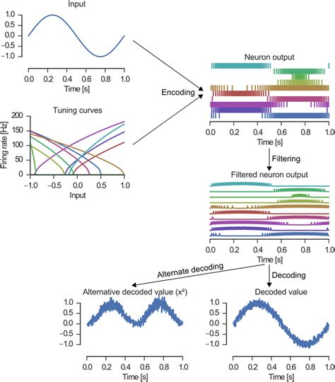 representation and transformation in the neural engineering framework download scientific