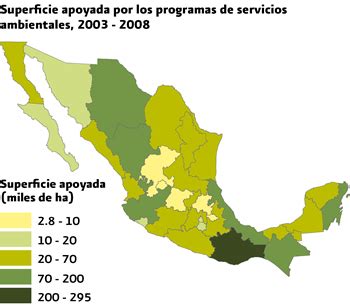 Informe En Resumen 2009