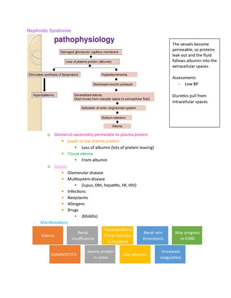 Nephrotic Syndrome Medical Surgical Concepts Nephrotic Syndrome O
