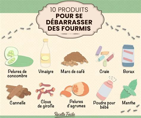 Comment se débarrasser des fourmis à l intérieur et à l extérieur de la