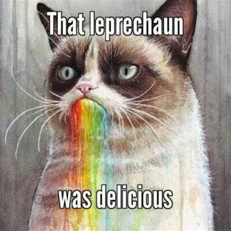 34 Funny St Patricks Day Memes To Celebrate The Luck Of The Irish Yourtango