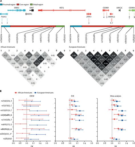 Expression Quantitative Trait Locus Fine Mapping Of The Q Asthma