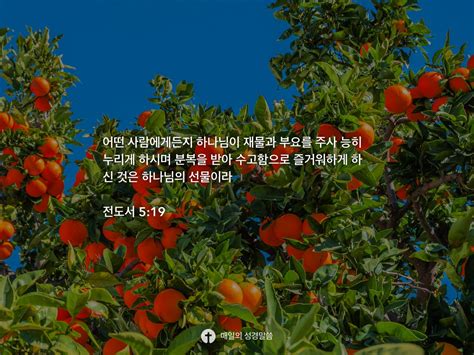 전도서 5 19 Daily Bible Inspirations