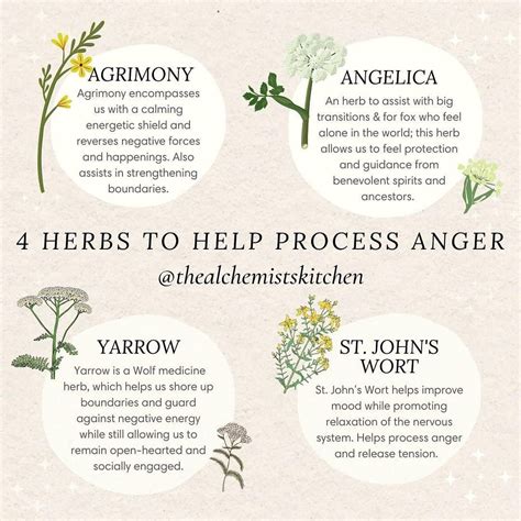 Healing Herbs You Can Use Every Day Artofit