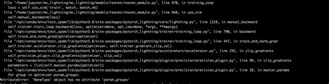 Not Passing Optimizer To Manual Backward Causes Downstream Error