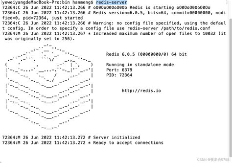 mac 如何安装redis mac redis server csdn博客