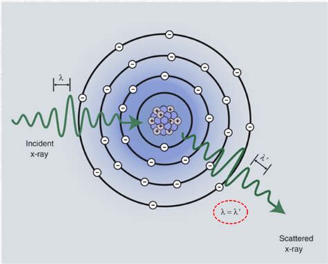 X Ray Interaction With Matter Flashcards Quizlet