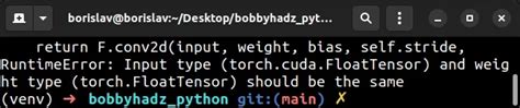 RuntimeError Input Type Torch FloatTensor And Weight Type Torch