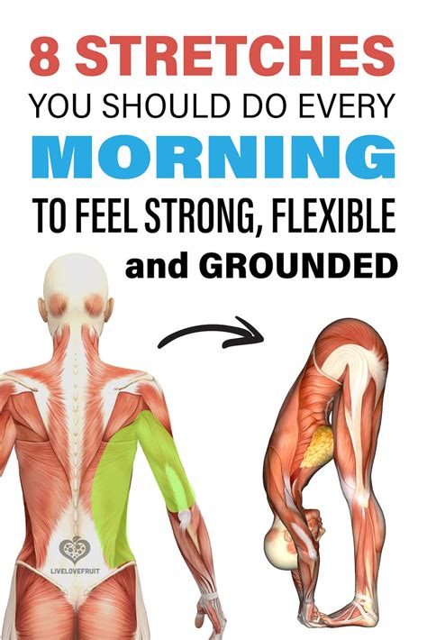 Fitness Workouts Easy Yoga Workouts Fitness Workout For Women Yoga