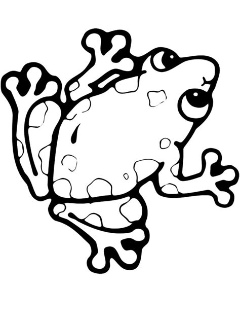 Rana Da Colorare 41 Disegni Da Colorare