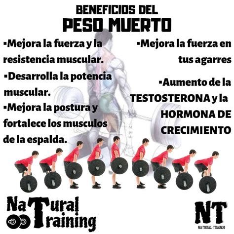 Peso Muerto Peso Muerto Pesas Ejercicios De Entrenamiento