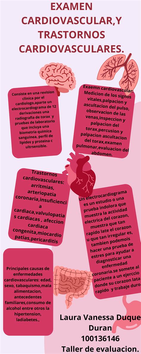 Infografia Cardiovascular Examen Cardiovascular Y Trastornos