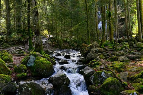 Les 20 plus beaux paysages des Vosges à admirer ou photographier