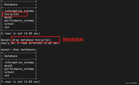Mysql Mysql Csdn