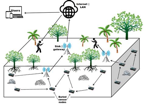 1 architecture of a typical wireless underground sensor network download scientific diagram