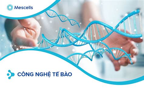 Tìm hiểu về công nghệ tế bào Ứng dụng trong y học tái tạo và thẩm mỹ