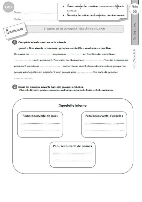 Cm Exercices Sur L Unit Et Diversit Des Tres Vivants