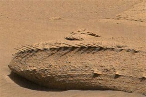 Rover de la Nasa detecta extraña roca con forma de hueso en Marte La